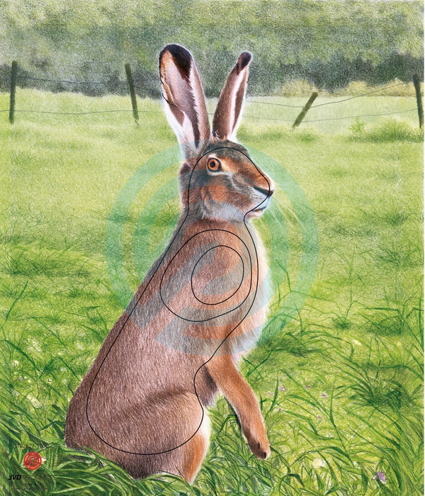 Jvd Hare Face Wales Archery