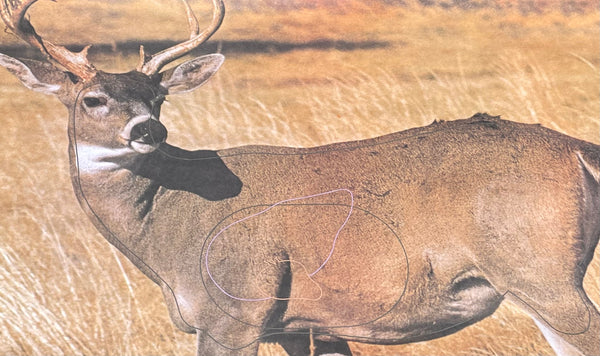 Martin Deer - Wales Archery